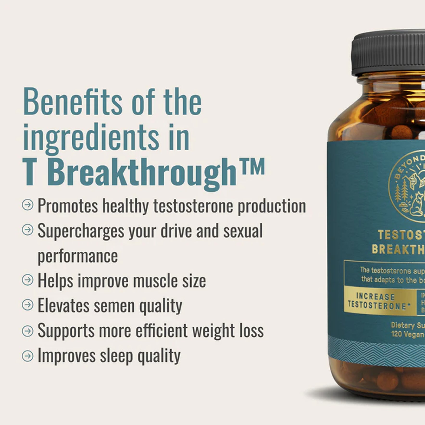 The Dream Body Stack – Beyond Alpha